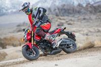 Honda Grom Off-Road Adventure Motorcycle Fun Trip | Cycle World