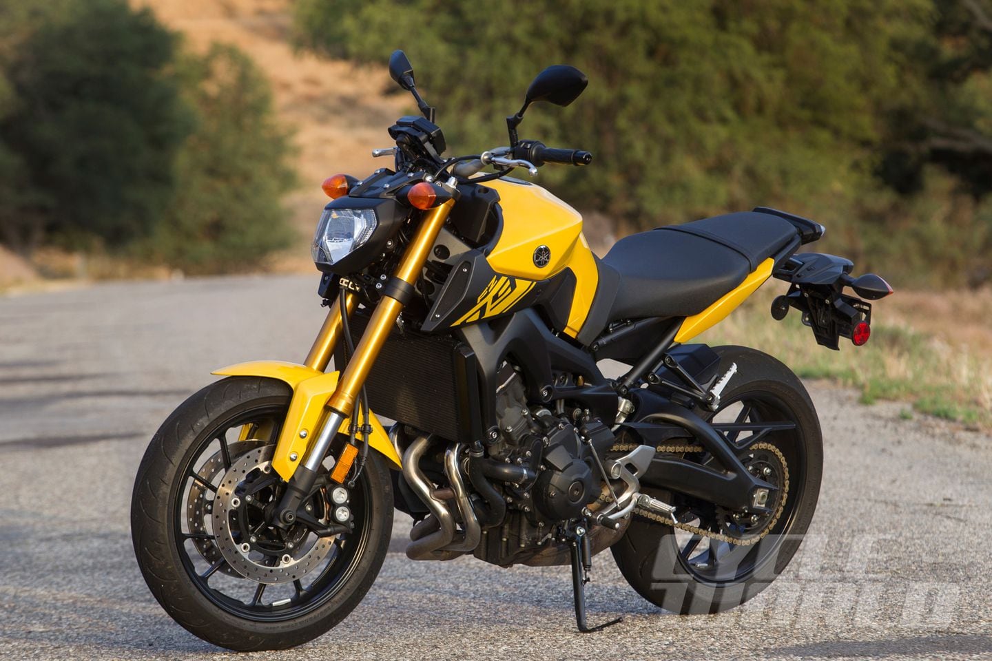 Yamaha Fz9