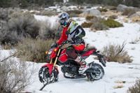 Honda Grom Off-Road Adventure Motorcycle Fun Trip | Cycle World