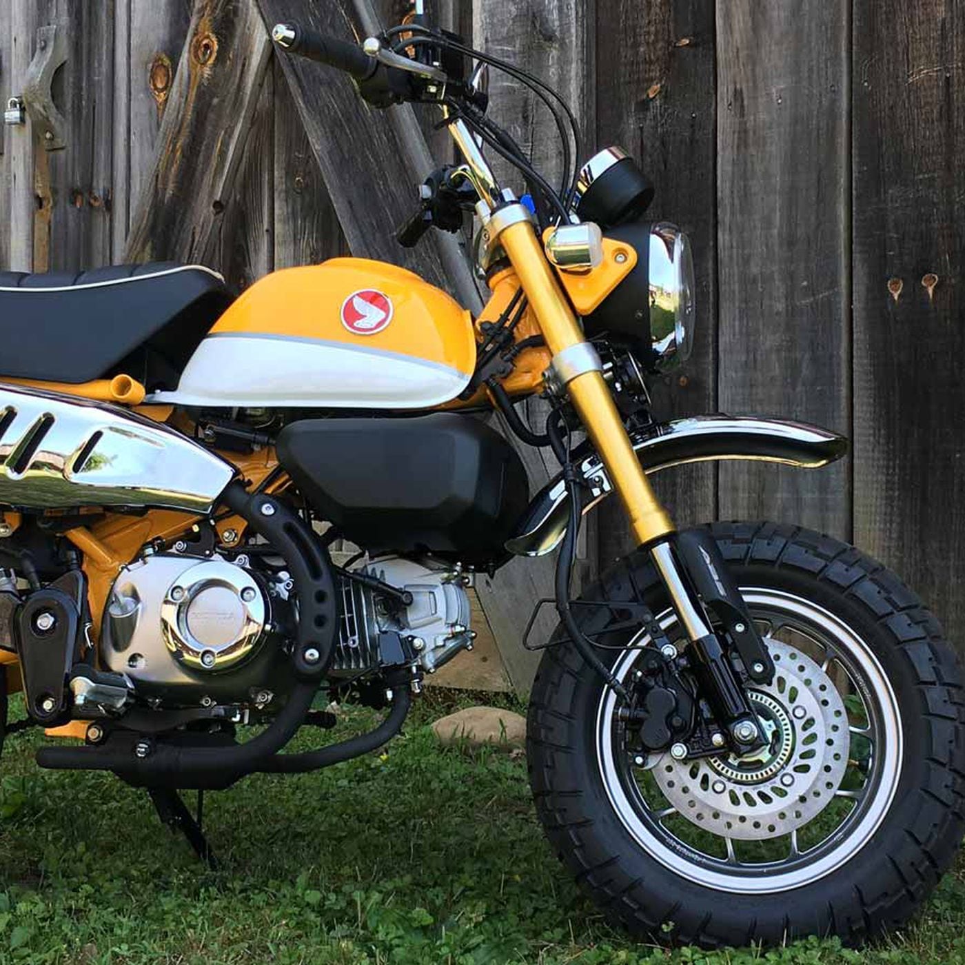 Honda Unveils The 2019 Monkey | Cycle World