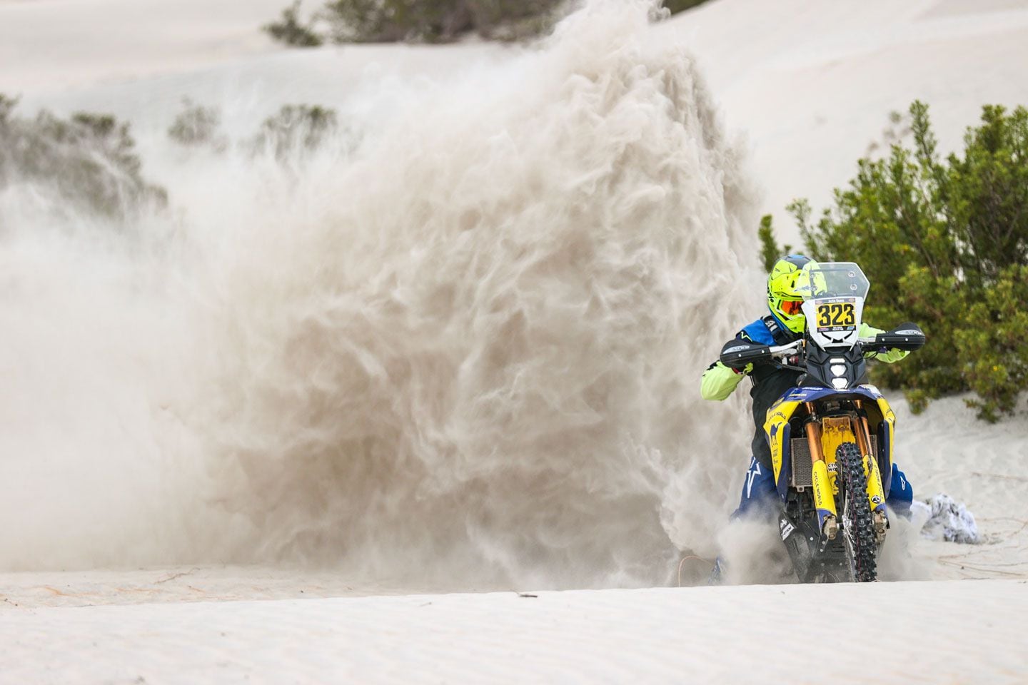 Suzuki V-Strom 800DE Rally Race Test | Cycle World | Cycle World