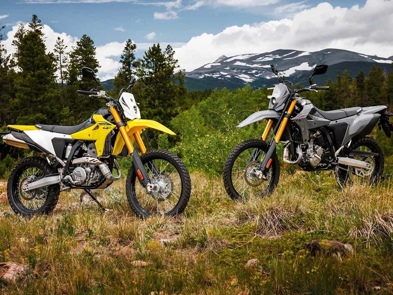 2025 Suzuki DR-Z4S and DR-Z4SM First Look | Cycle World