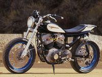 Mule Motorcycle's Racing Replica Flat Track—From The Archives | Cycle World